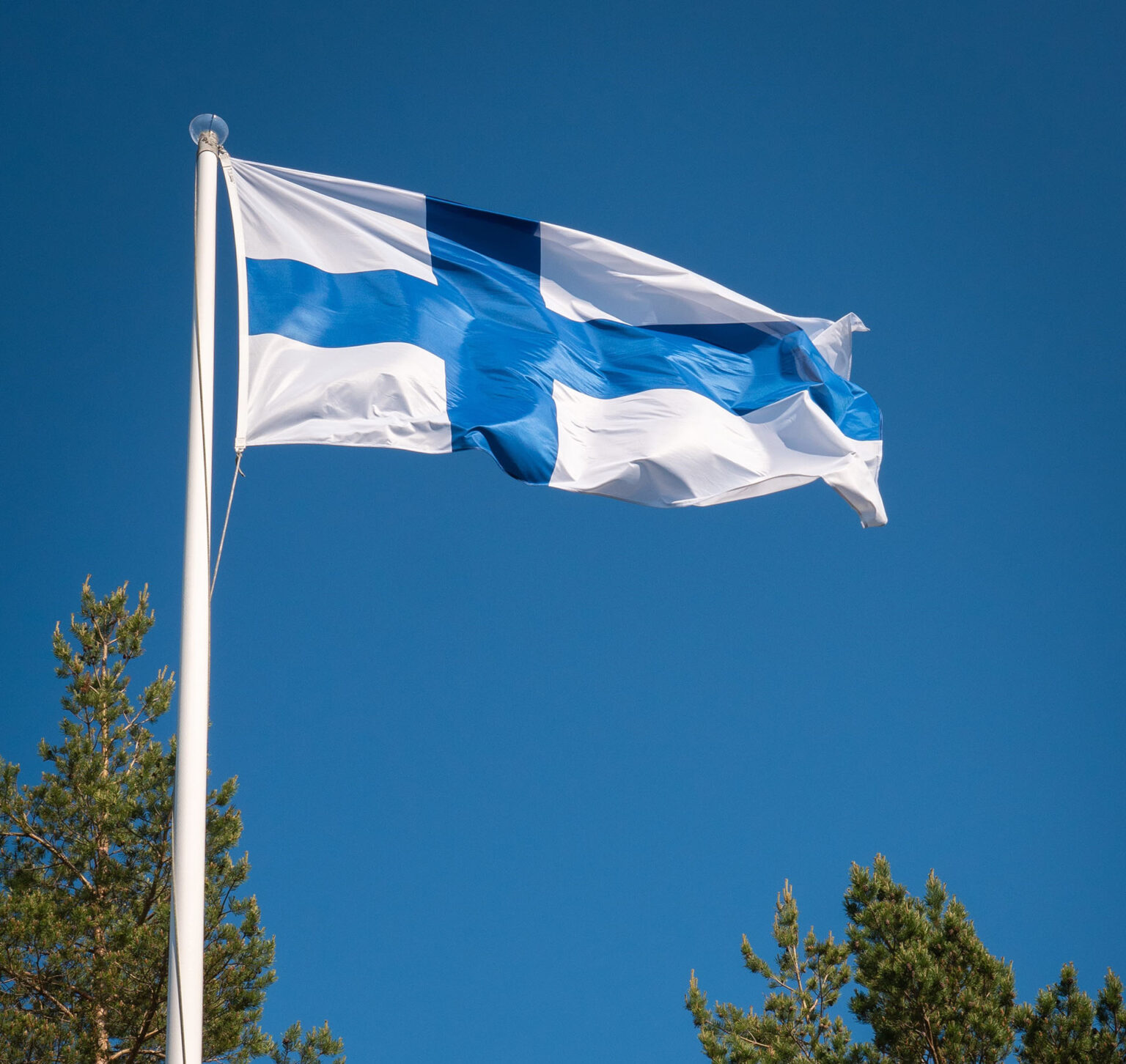 Lippu - Juhlakalenteri - Tietävä